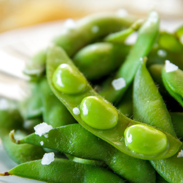 Soijapapu: 'Chiba Green' - HyötykasviyhdistysHyötykasviyhdistys